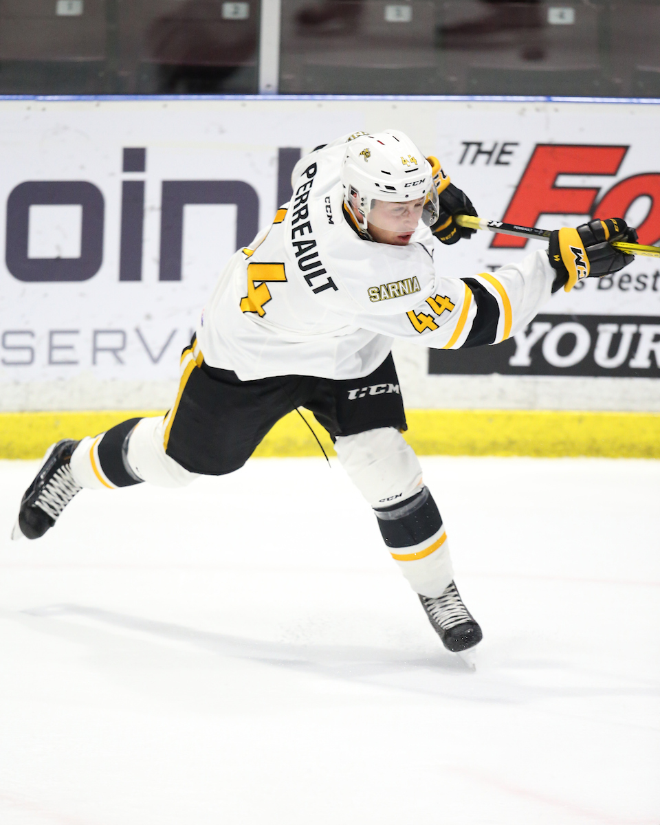 Providence Bruins Sign Jacob Perreault – Dom – Hockey